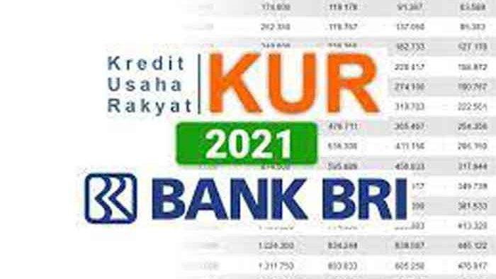 Cara Daftar Pinjaman Online 2021 KUR BRI Klik https://kur.bri.co.id ...