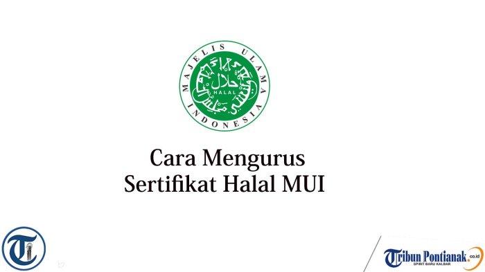 Cara Mengurus Sertifikat Halal MUI, Apa Saja Syaratnya dan Berapa ...