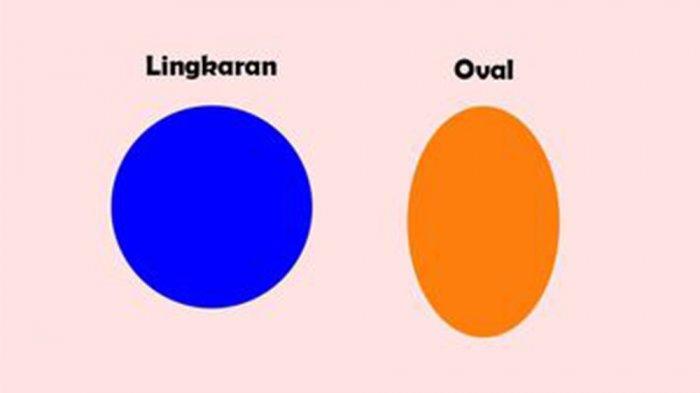 Jelaskan Perbedaan Antara Lingkaran dan Oval! Soal dan Jawaban TVRI ...