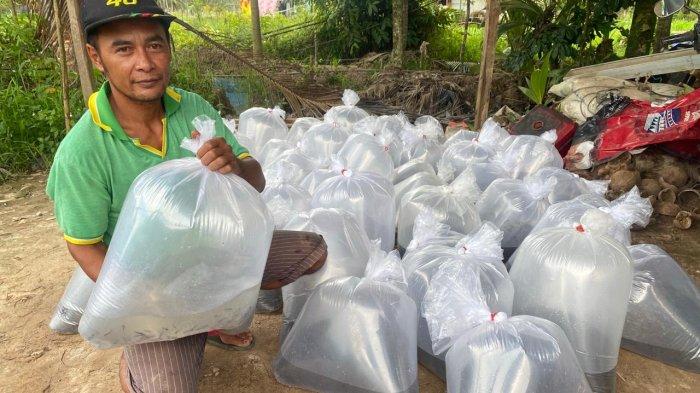 Reses di Sambas, Anggota DPR RI Daniel Johan Beri Bantuan Bibit Ikan ...