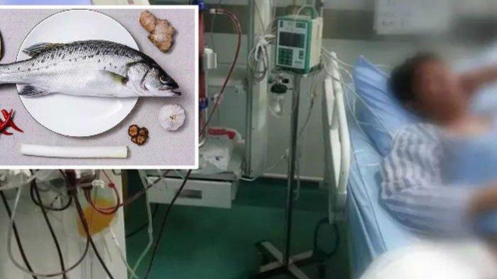 Empedu Ikan Picu Gagal Ginjal? Kisah Pria China Kritis dan 13 Hari ...