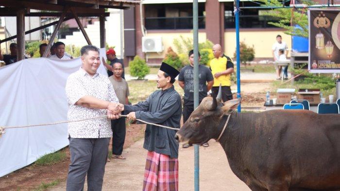 Qurban Polri Presisi, Polres Kapuas Hulu Qurban 3 Ekor Sapi Dan 2 Ekor ...