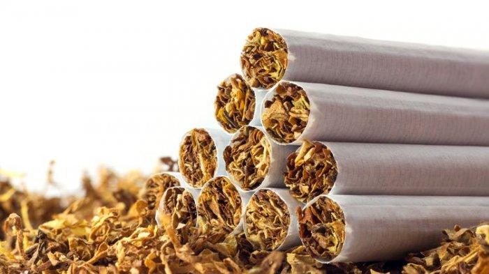 HARGA Rokok Hari Ini 1 Februai 2021, Update Harga Rokok Terbaru 2021 ...