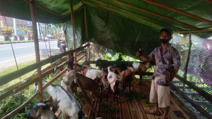 Doa Menyembelih Hewan Kurban Sapi atau Kambing Untuk Berapa Orang & Syarat Potong Kurban ...