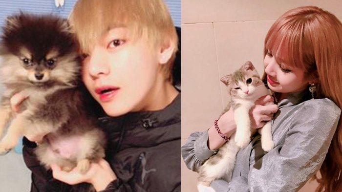 Hewan Peliharaan Idol K-Pop yang Populer Seperti Pemiliknya, Anjing V ...
