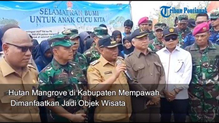 VIDEO: Hutan Mangrove di Kabupaten Mempawah Dimanfaatkan Jadi Objek ...