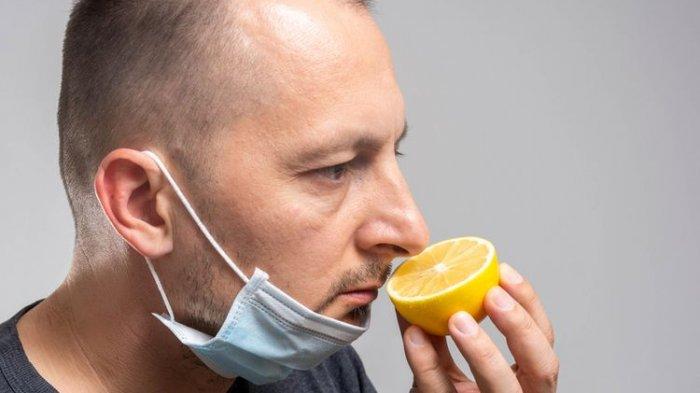 Hidung Tidak Bisa Mencium Bau dan Cara Mengatasinya ! Lakukan 6 Cara ...