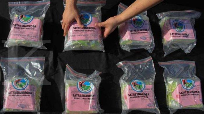 Apa itu Sabu ? Apa Bahaya Sabu untuk Kesehatan ? Apa Efek Samping Sabu ...