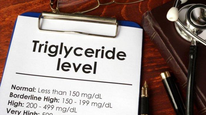 Nilai Trigliserida Normal ! Apa itu Trigliserida yang Harus Dicek ...