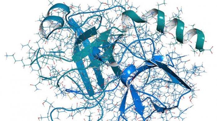 Pengertian Enzim , Contoh Enzim & Cara Kerja Enzim ! Ketahui Juga Apa ...