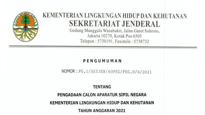 INFO Lengkap CPNS Kementerian Lingkungan Hidup dan Kehutanan 2021, sscasn.bkn.go.id Login CPNS ...