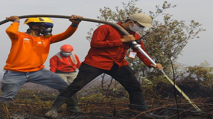 Selama 6 Hari Relawan Padamkan Api Karhutla di Kubu Raya ...
