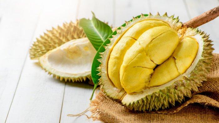 Tips Memilih Durian yang Manis dan Tebal ! Lakukan 5 Cara Memilih Durian yang Manis dan Tebal ...