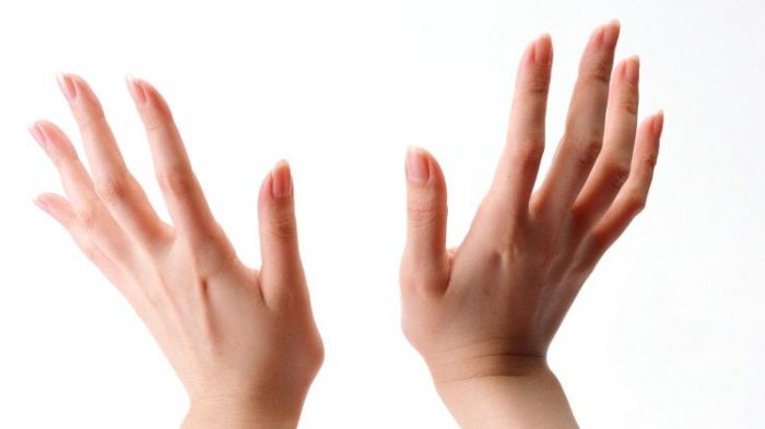 Ketahui Kepribadian Seseorang Lewat Jari Tangan, Jari Manis Lebih ...