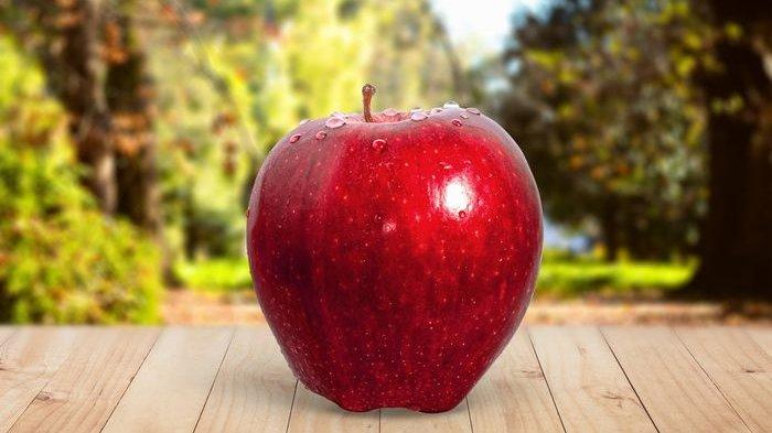 JELASKAN PROSES Pematangan Apel, Tempat Tumbuh Apel dan Tekstur Kulit ...