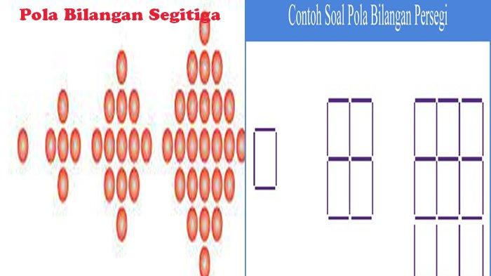 Berita sejumlah jenis pola bilangan Terbaru Hari Ini - Tribunpontianak ...