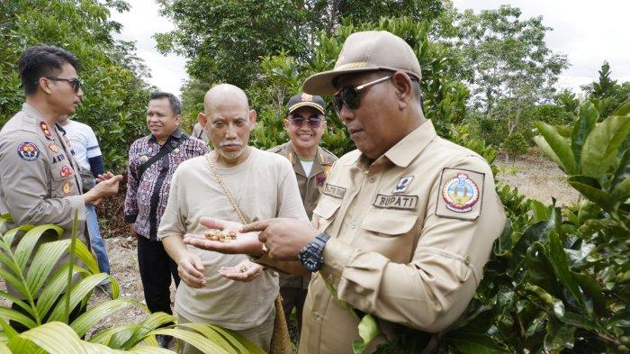 Bupati Citra Kembangkan Lahan Pertanian Guna Penuhi Permintaan Pasar ...