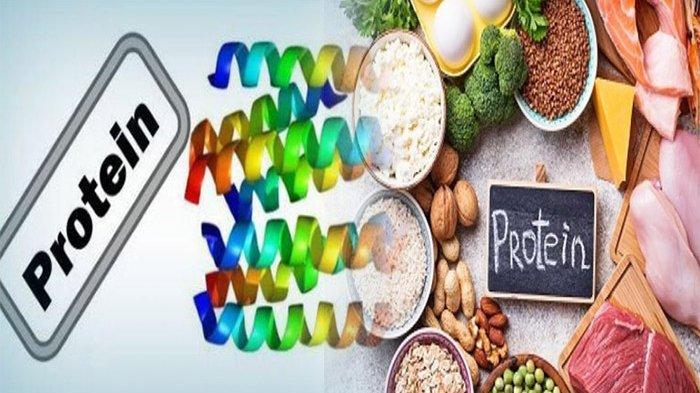 Kekurangan Protein Bisa Menyebabkan Penyakit? Kenali Tanda-tanda Kekurangan Protein ...