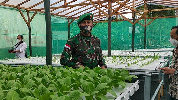Paldam XII/Tanjungpura Bangun Rumah Hidroponik Jaga Ketahanan Pangan ...