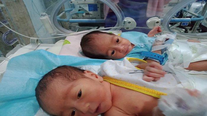 KISAH Ibu Muda di Mempawah Kalbar Lahirkan Bayi Kembar Tiga, Yolanda : Alhamdulillah Laki Semua ...
