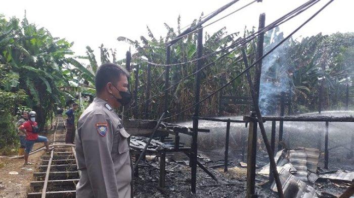 Kandang Ayam di Jalan Wonodadi II Terbakar, Ribuan Ekor Ayam Mati Terpanggang - Tribunpontianak ...