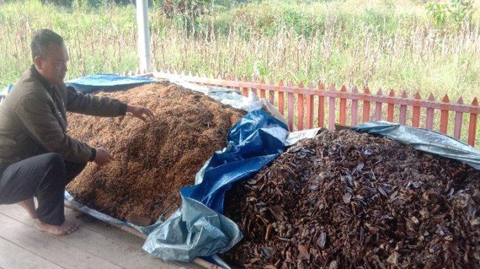 Fakultas Pertanian Untan Edukasi Warga Desa Limbung Tentang Pembuatan ...