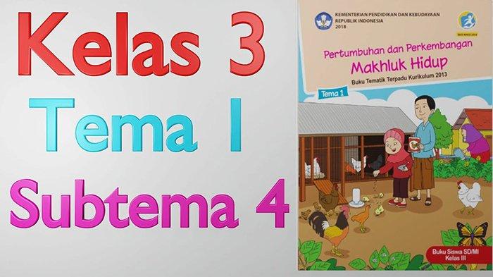 Soal dan Kunci Jawaban Ulangan Kelas 3 Tema 1 Subtema 4 Pertumbuhan dan Perkembangan Tumbuhan ...