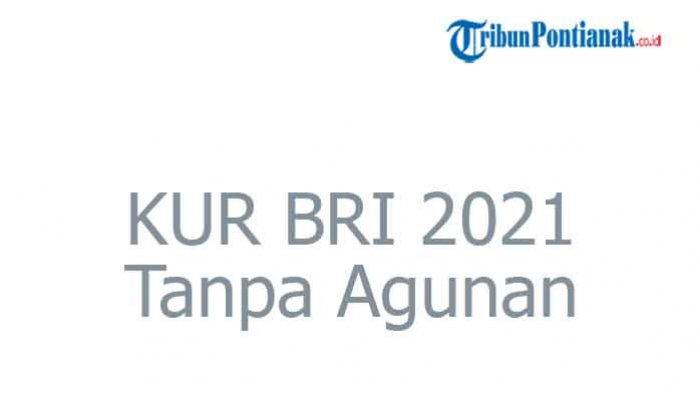 KUR BRI 2021 Tanpa Agunan, Dapatkan Bunga 3 Persen dengan Pinjaman ...