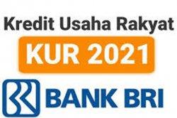 KUR BRI 2021 Tanpa Agunan Kapan Dimulai? Cek Syarat KUR BRI dan Tabel ...