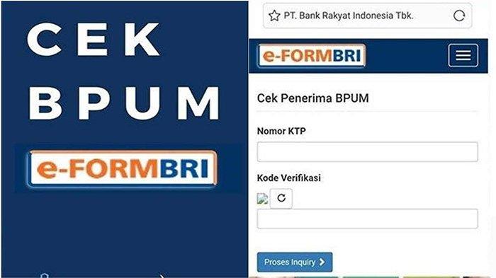 CEK Link E-Form BRI Cek Data Penerima BPUM Login eform.bro.co.id/bpum ...