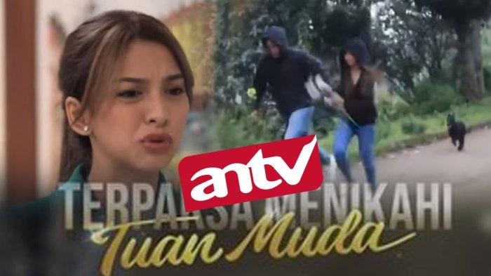 LIVE Streaming ANTV Terpaksa Menikahi Tuan Muda Sekarang, Tipu Muslihat Kinanti demi Jebak ...