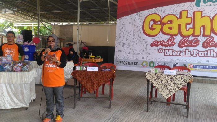 Meriahkan HUT RI ke-73, Poscar Gelar Lomba Kucing Kampung ...