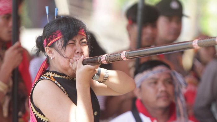 Antusias Lomba Menyumpit Pada Pekan Gawai Dayak ke-33 - Tribunpontianak ...