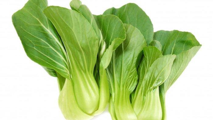 Banyak Manfaat Penting di Sayur Pakcoy, Sehat dan bergizi ...