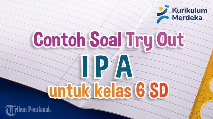 48 SOAL Try Out USBN IPS Kelas 6 SD Kurikulum Merdeka 2024, Lengkap Kunci Jawaban IPS ...