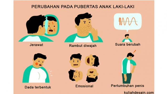 Berita pubertas bagi anak perempuan Terbaru Hari Ini - Tribunpontianak ...