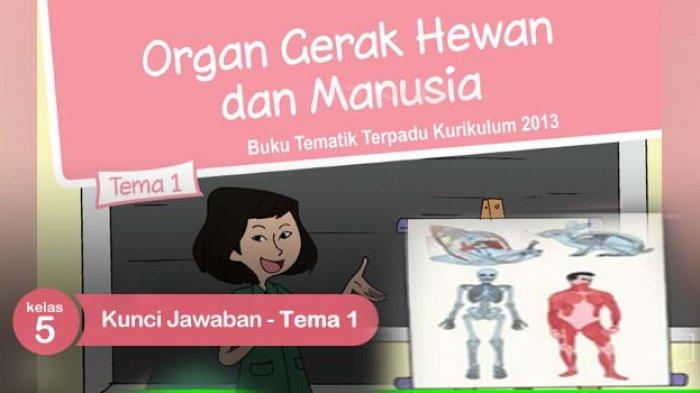 KUNCI Jawaban Tema 1 Kelas 6 Subtema 3 Halaman 160, 163, 164, 166, 167 : Lingkungan dan ...