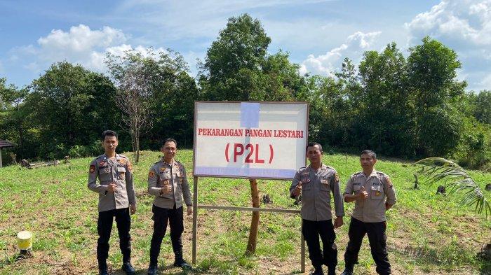 Dukung Ketahanan Pangan, Kapolsek Singkawang Timur Resmikan Pekarangan Pangan Lestari P2L ...
