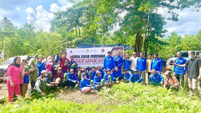 KUPS Klukup Kediuk Raya Panen Semangka Perdana - Tribunpontianak.co.id