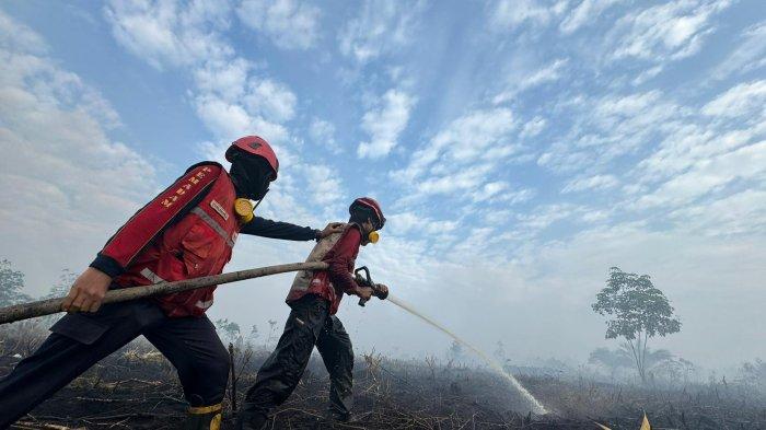 Tim PMI Kalbar Berjibaku Padamkan Kebakaran Lahan di Sungai Kakap Kubu ...