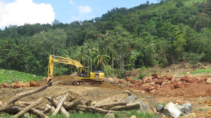 Pembangunan PLTU Kalbar 1 Minim Tenaga Kerja Lokal, Warga Juga Keluhkan ...