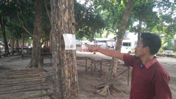 Pengunjung Kecam Aksi Para Siswa yang Coret-coret Pohon di Pantai Pulau ...