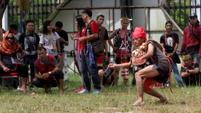 Foto-Foto Keseruan Lomba Pangkak Gasingk di Pekan Gawai Dayak (PGD) ke ...