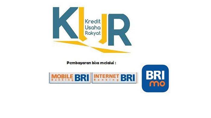 Bunga KUR BRI 2021 3 Persen dengan Maksimal Pinjaman 100 Juta, Berikut ...