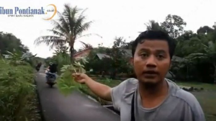 Pohon Tumbang Lumpuhkan Lalu Lintas di Rasau Jaya, Ini Jalur Alternatif ...