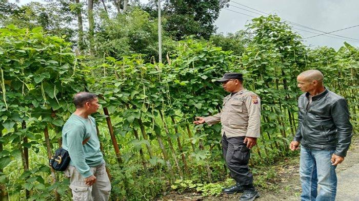 Dukung Program Presiden RI, Tim Gugus Tugas Ketahanan Pangan Polres Kapuas Hulu Turun ke ...