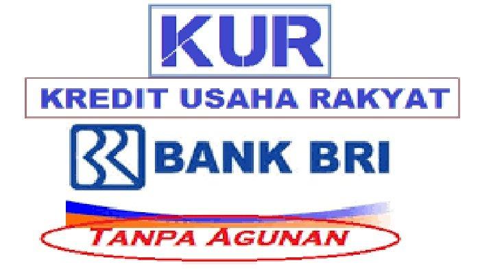 Proses Cair Pinjaman KUR https://pinjaman.bri.co.id/pengajuan/form ...