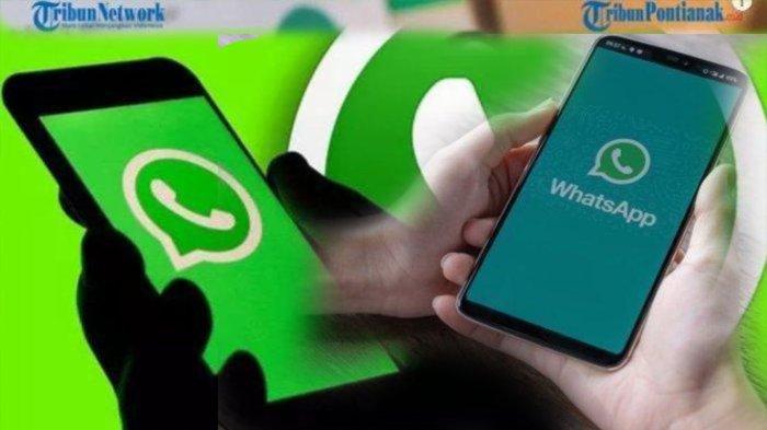 Apa Itu Message Yourself pada WhastApp? Begini Fungsi dan Cara ...