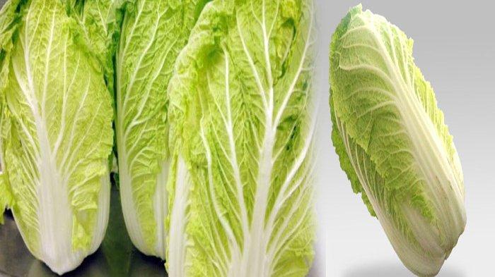 Manfaat Tak Terduga Sawi Putih, Berkhasiat Turunkan Berat Badan hingga ...