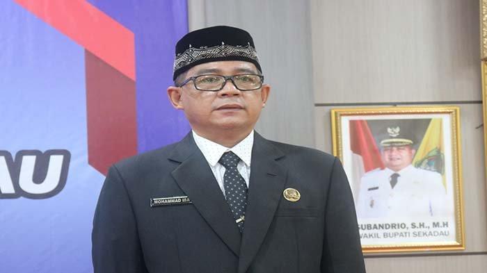 Mengintip Jumlah Harta Kekayaan Sekda Sekadau Mohammad Isa, Alami ...